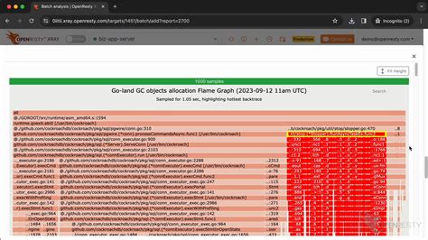 how cpu time is spent inside go s cockroachdb using openresty xray
