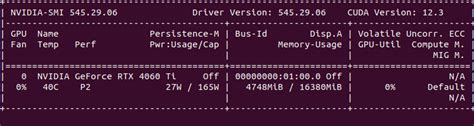 Model Being Occupying X The Size Loading And Running Pytorch Forums