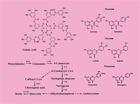 Synthesis Of Polyphenols With Wide Variability And Complexity
