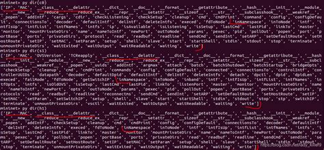 sdn mininet命令详解（py dpctl ovs vsctl ovs ofctl） p4中mininet构建的交换机输入ovs