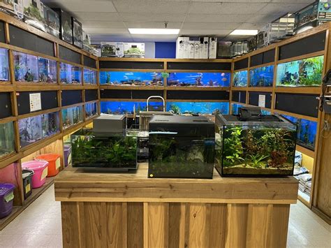 Lees Feed And Western Store 74 Photos And 110 Reviews 4110 Mother Lode