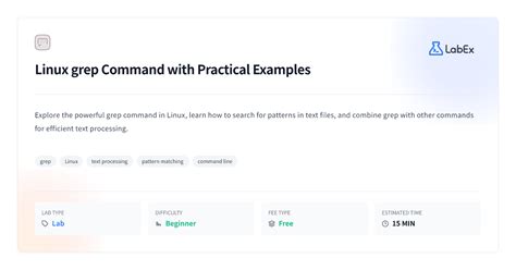 Linux Grep Command With Practical Examples Labex