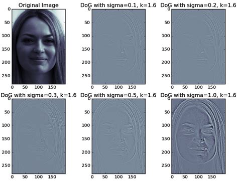 5 Examples Of Difference Of Gaussian Features Download Scientific Diagram