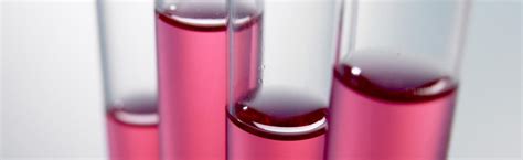 Testing Your React Components With Jest A Quick Guide