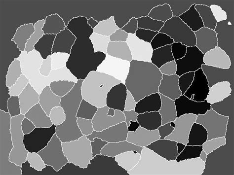 Watershed Segmentation Performed On Image Shown In Figure 5 Download