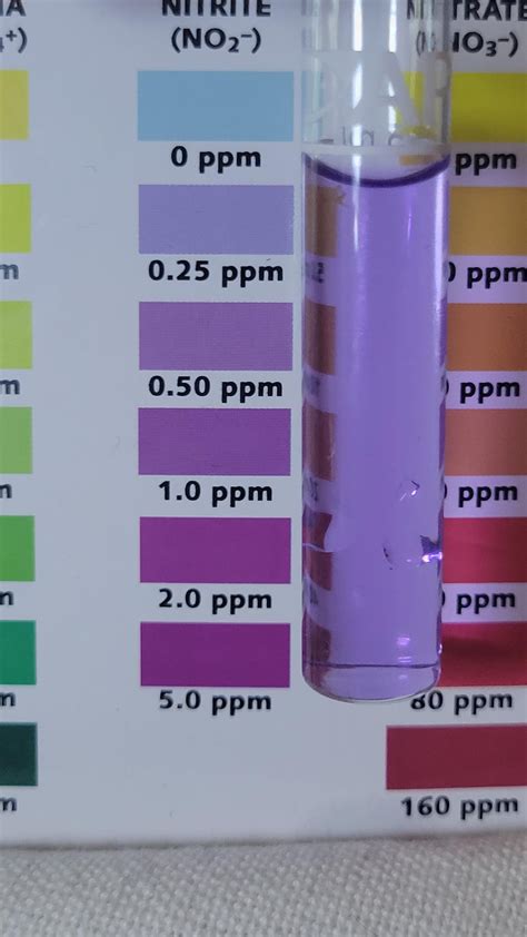 Can Tell Which Way Is Best To Read Api Test Results Raxolotls