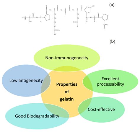 A Basic Molecular Structure Of Gelatin B Properties Of Gelatin Download Scientific Diagram