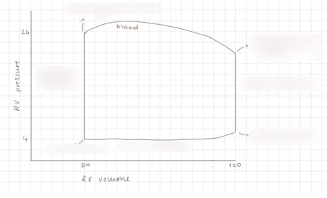 Week 3 Pressure Volume Loop For Right Ventricle Diagram Quizlet