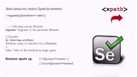 How To Write Your First Xpath Locator In Selenium Step By Step For Fresher 2023 Youtube