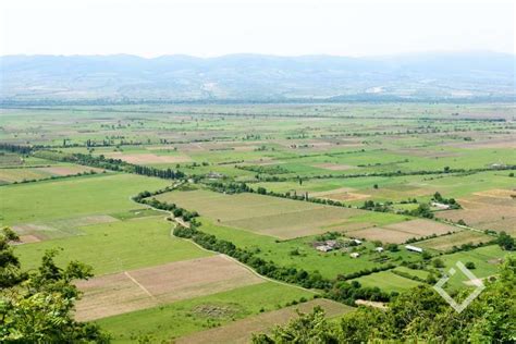 სასოფლო სამეურნეო სავარგულების გადაწვისთვის ფიზიკური პირებისთვის