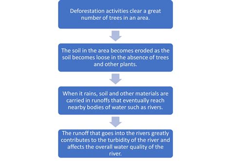 Construct A Flow Chart That Explains How The Deforestation Of An Area