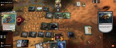 widescreen bug r magicarena