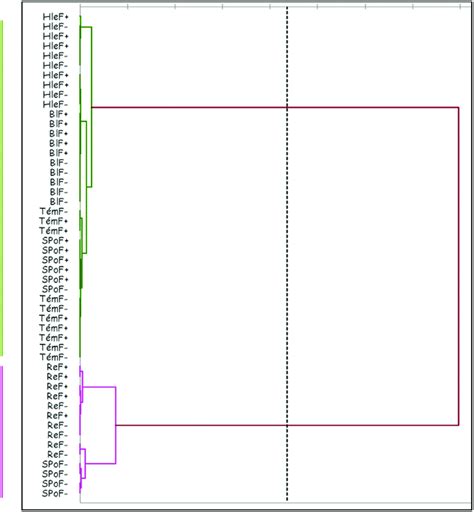 dendrogram of the ascending hierarchical classification hac of