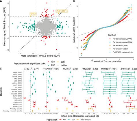 Comparison Of Meta Analytic Strategies For Multi Biobank Download