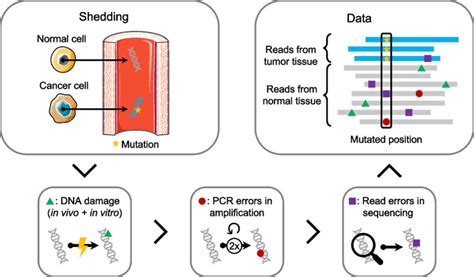 Dreams Deep Read Level Error Model For Sequencing Data Applied To Low Frequency Variant Calling