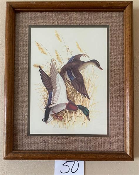 Charles E Murphy Duck Art