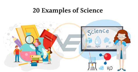 20 Examples Of Science Vivid Examples