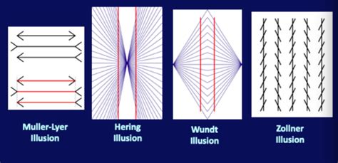 Perception Intro Flashcards Quizlet Perception Intro Flashcards Quizlet