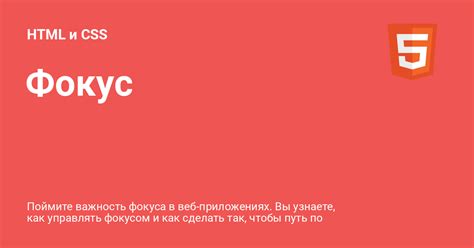 Фокус ⚡️ Html и Css с примерами кода