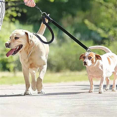 Guinzaglio Per 2 Cani Guinzaglio Doppio Per Due Divisore