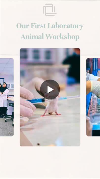 از اینکه در کنار اهداف اصلی کوآدسل، امکان برگزاری کارگاه‌هایی جهت تقویت