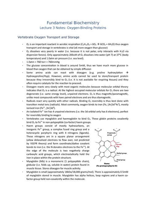 Lecture 3 Notes Oxygen Binding Proteins Fundamental Biochemistry