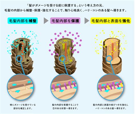 ブリーチした髪のケアにケラチントリートメントが最適！おすすめ6選と使い方も解説。