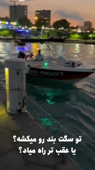 تواین فضا سگت همم قدم باهات بیاد این قشنگه Youtube