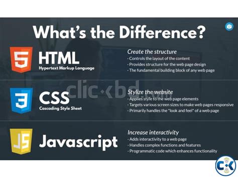 computer programming learning online tutor clickbd