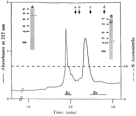 Hpgpc Elution Profile Of A Protein Extract Of 400 Central Nervous