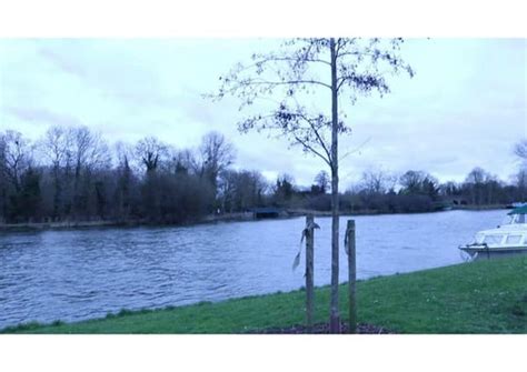 Assignment 42 Ppt Assignment 42 Ppt