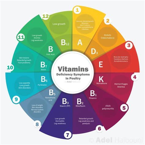 Vitamins Poultry Broilers Chickens Avicultura Avicola Animalfeed