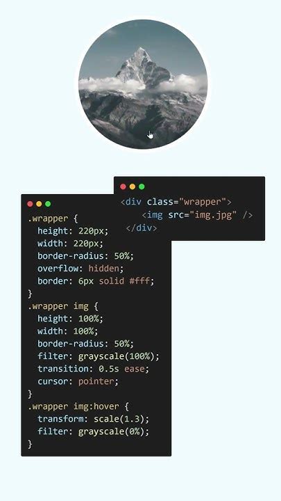 Image Hover Animation In Html And Css Shorts Hovereffect Imagehover Youtube