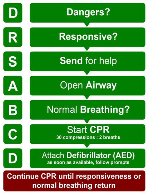 Basic Life Support Vic First Aid