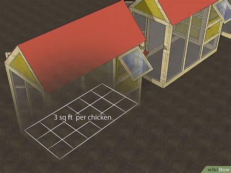 How To Start A Chicken Farm Business A Beginner S Guide