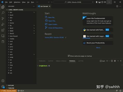 Win11下的Geant4和ROOT安装WSL2 知乎