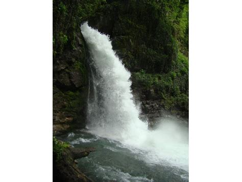 შემოდგომის ლაგოდეხი როჭოს ჩანჩქერი კახეთი 0 Gel Tripop