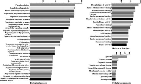 GO Analysis Of Biological Process Molecular Function And Cellular Download Scientific Diagram