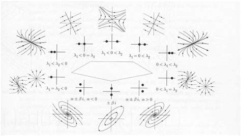 Differential Equation Phase Diagram Plotter