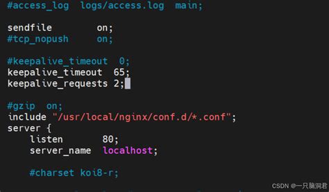Nginx简介及功能介绍niginx Csdn博客