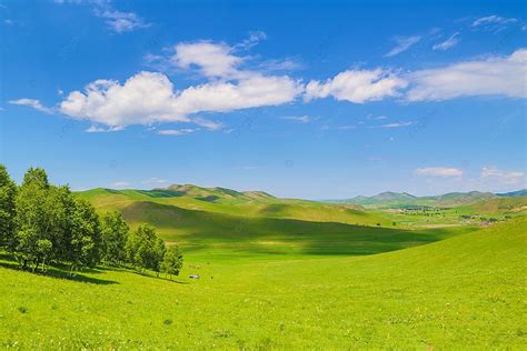 제방 위의 초원 위의 푸 른 하늘 과 흰 구름 배경 목초지 숲 나무 배경 일러스트 및 사진 무료 다운로드 Pngtree