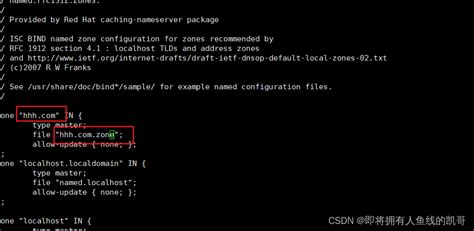 linux网络之dns域名解析概述 linux 域名解析 csdn博客