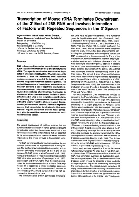 Pdf Transcription Of Mouse Rdna Terminates Downstream Of The 3′ End