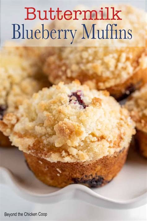 Buttermilk Blueberry Muffins Recipe In 2023 Buttermilk Blueberry