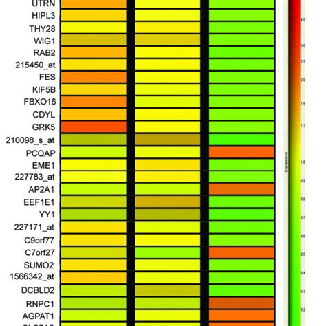 Microarray Analysis Of Genes Differentially Regulated By Both Tig1a And Download Scientific