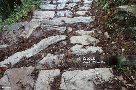 가을에는 나뭇잎으로 덮인 돌길로 숲이 우거진 지역을 통과합니다 0명에 대한 스톡 사진 및 기타 이미지 0명 가을 경관 Istock