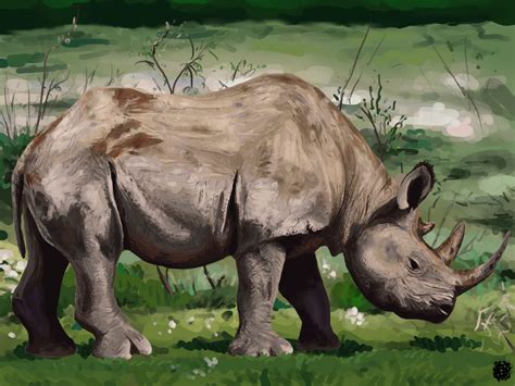 Rhinoceros By Twistingdepths On Deviantart Rhinoceros By Twistingdepths On Deviantart