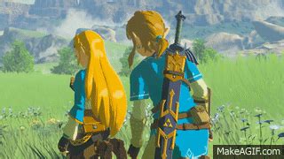 ZELDA BOTW Memory 9 Silent Princess Irch Plain On Make A GIF