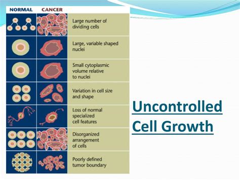 Ppt Cell Unit Iii Cell Division Cell Cycle Transcription And Translation Powerpoint