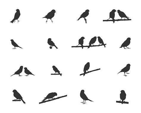 Silhouette Doiseau Canari Silhouettes Doiseaux Canari Vecteur Canari